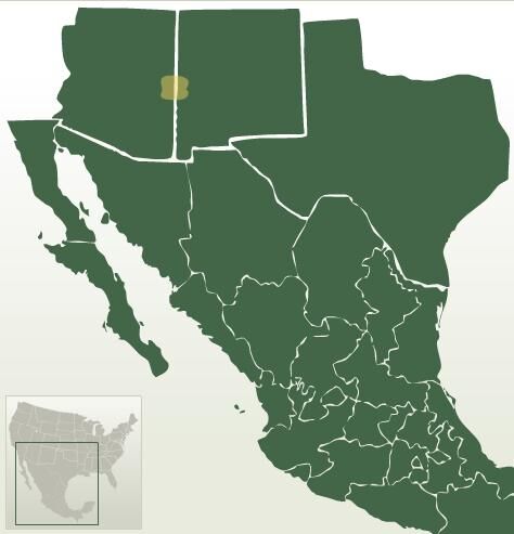 Missouri sanctuary bringing 4 endangered wolf pups back into wild ...