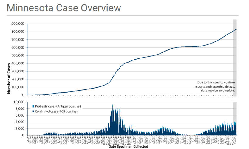 Minnesota in a ‘pandemic storm’ as COVID-19 cases, hospitalizations ...