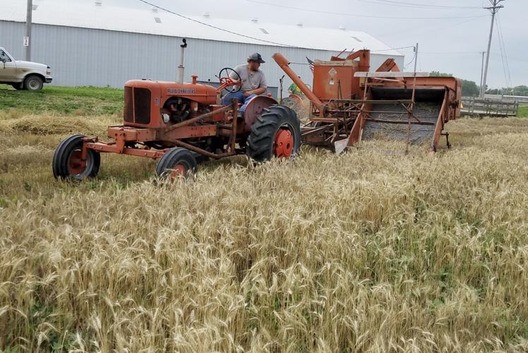 Crystal Lake tractor show goes gold and orange for 2024 ...