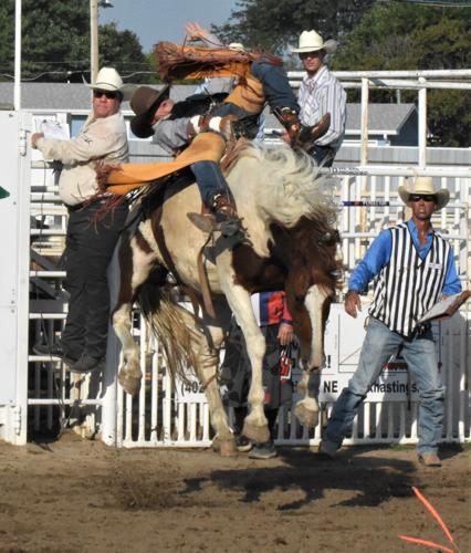 'Sharkleberry Fun,' rodeo action to light up fairgrounds this weekend ...