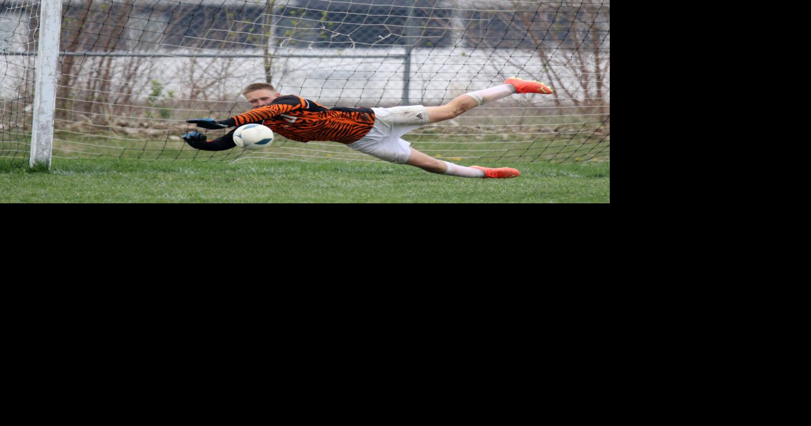 Pfeil keeps Tigers in contention with consistent play in net | Sports ...