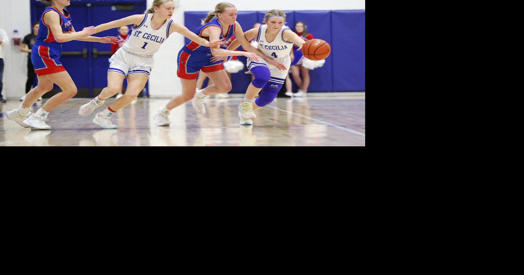 Hawkettes' string of 12 straight state tournaments snapped by Clarkson ...