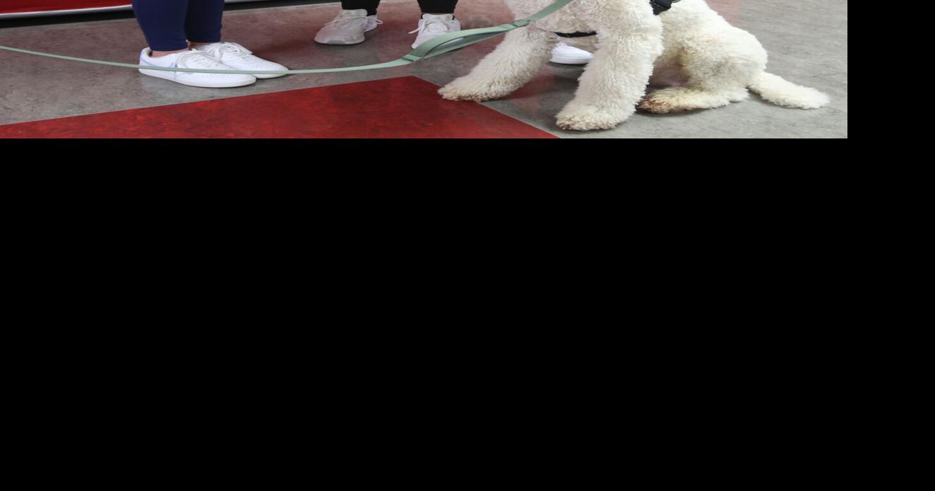 DT students focus on mental health | News | hastingstribune.com