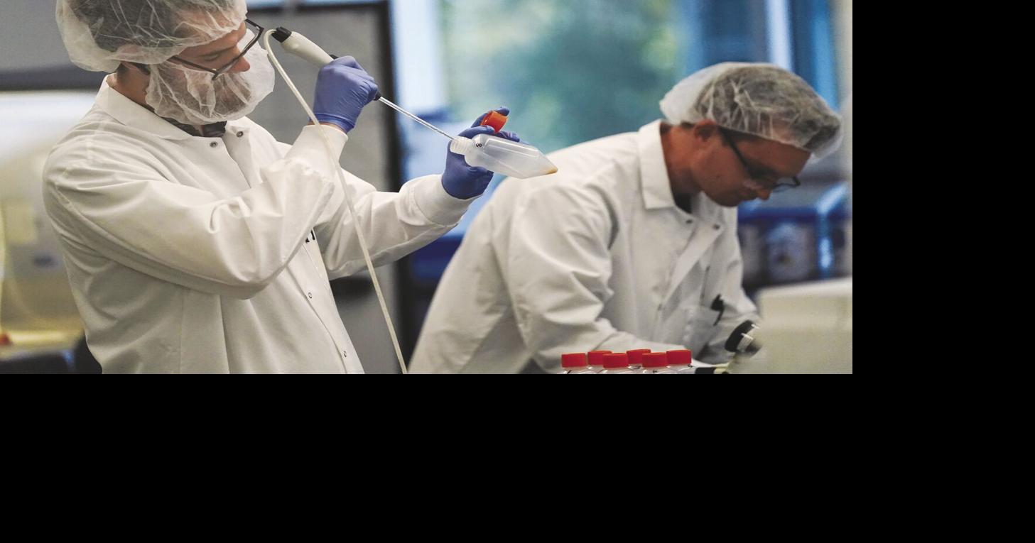 U.S. gives first approval for chicken made from cultivated cells ...