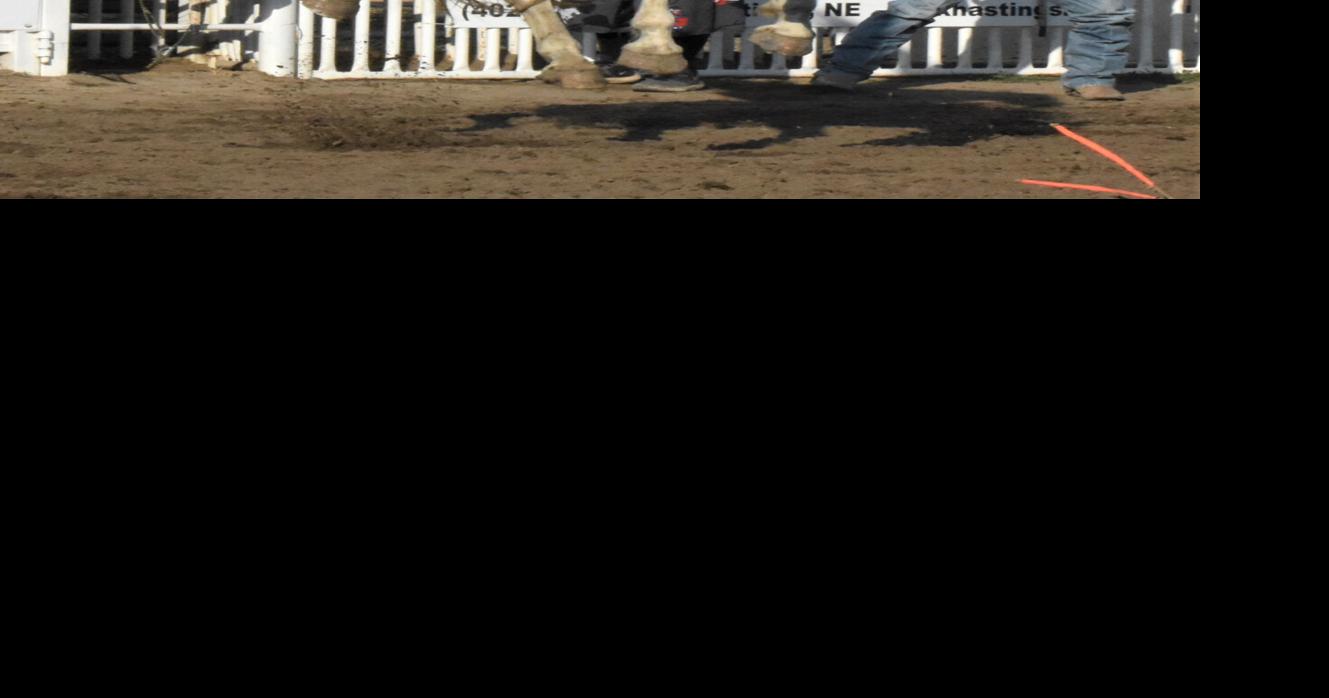 Oregon Trail Rodeo titlists include PRCA beginners | News ...