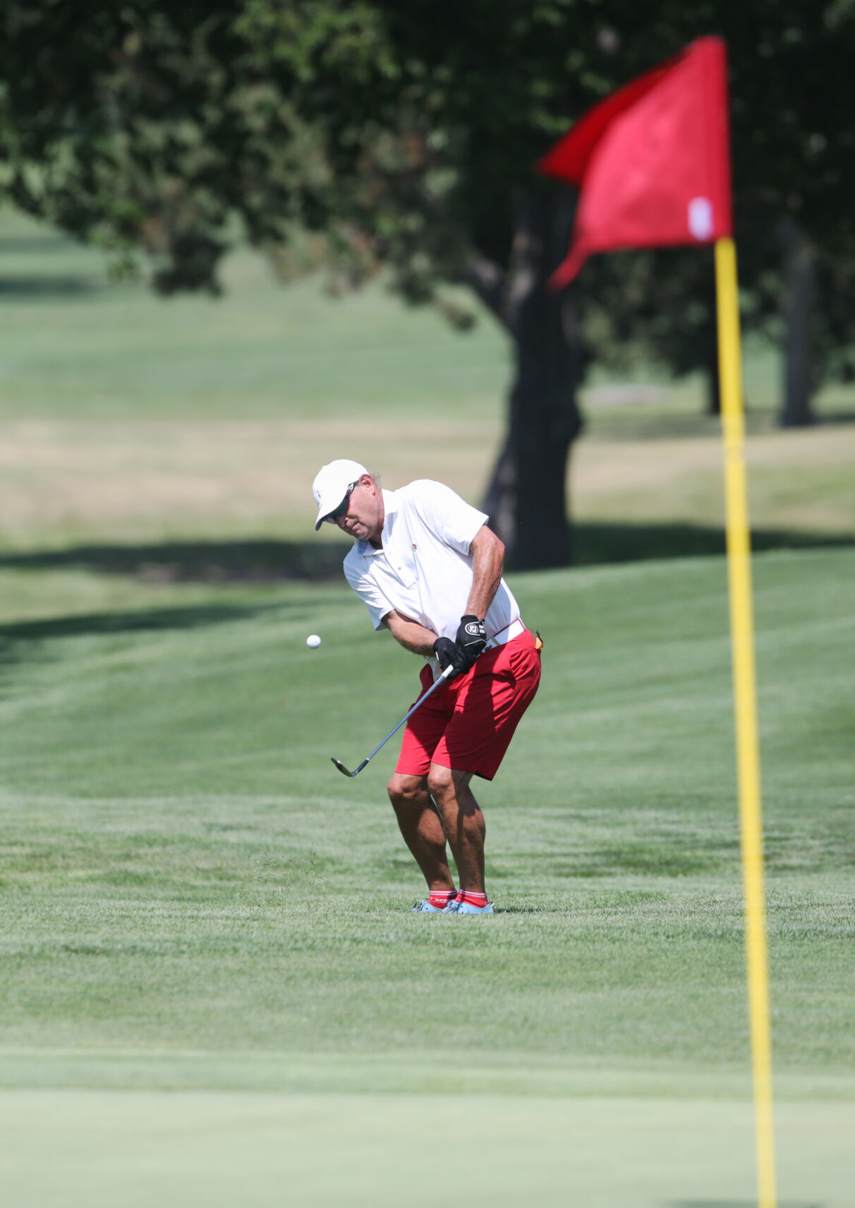 Former Hastings resident Wyatt captures qualifying spot for U.S. Senior ...