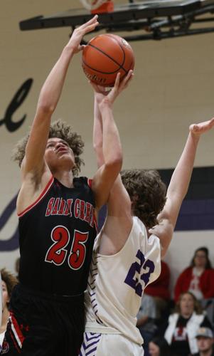 Panthers knock off newly crowned SNC champion Cougars | Sports ...