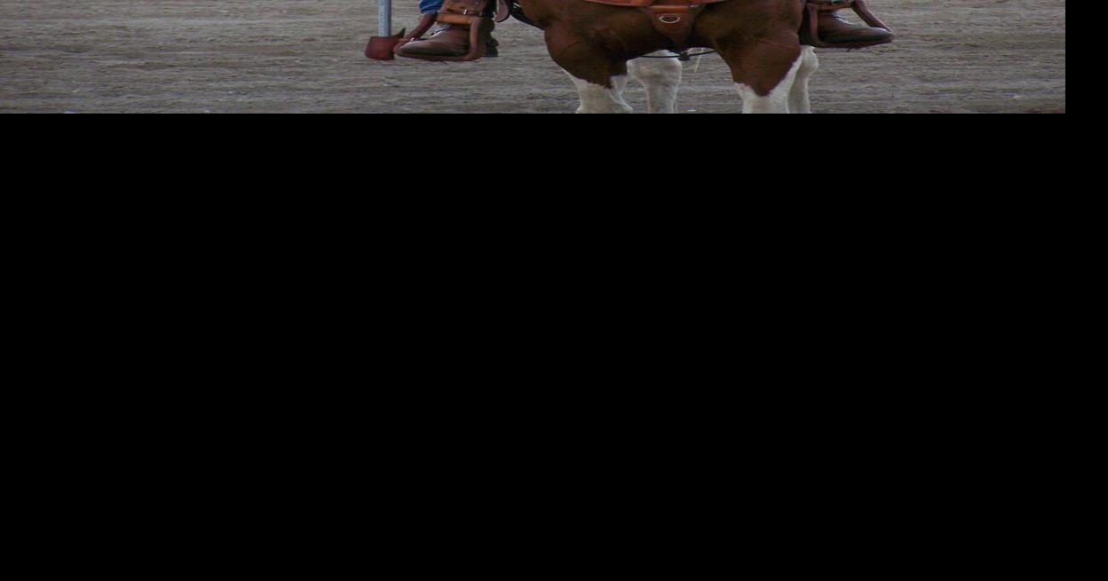 Juniata man wrangles for rodeo in Hastings | News | hastingstribune.com