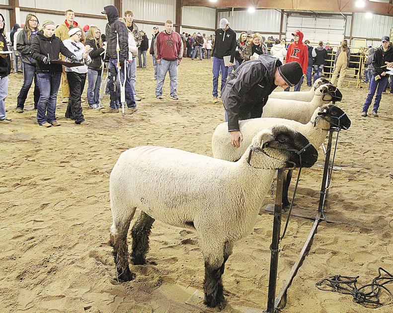 Livestock judging contest builds students' skills | News ...