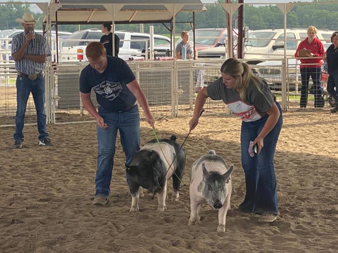 Franklin County hog show a cool experience | News | hastingstribune.com