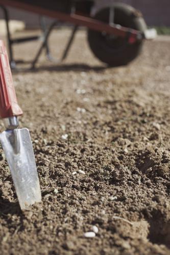 What to know about reseeding or replanting your lawn ...