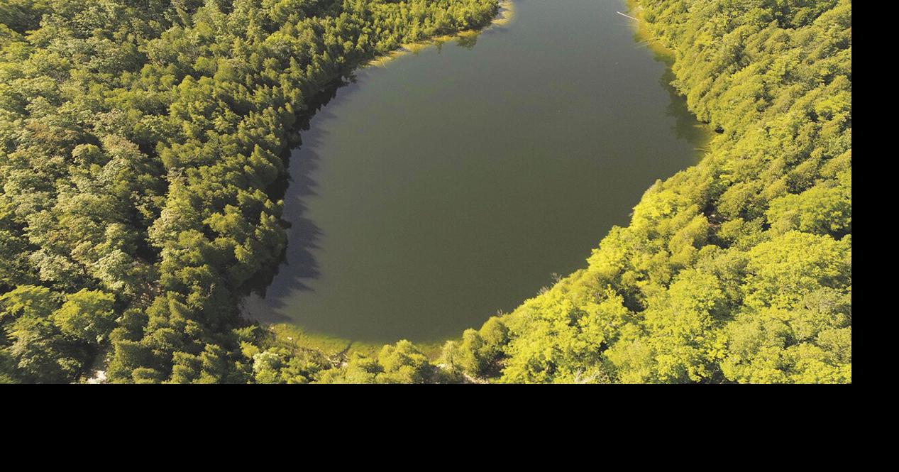 Humans' impact on the earth began a new epoch in the 1950s called the ...