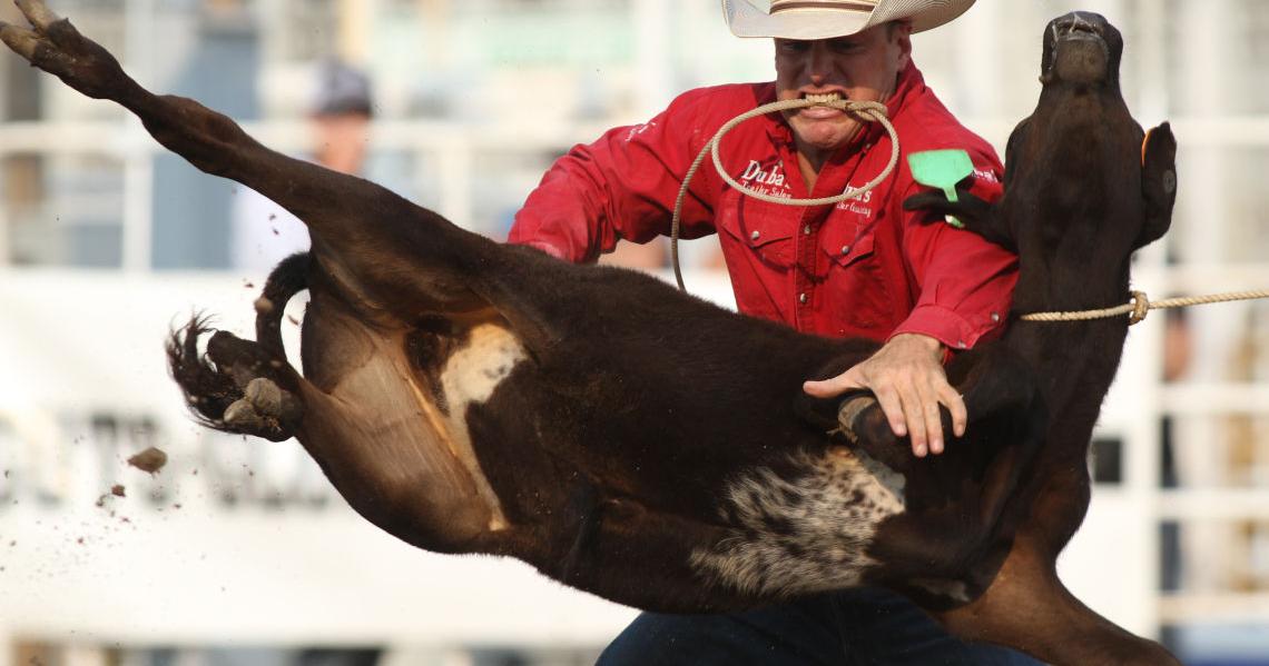 "Best crowds ever" watch rodeo | News | hastingstribune.com