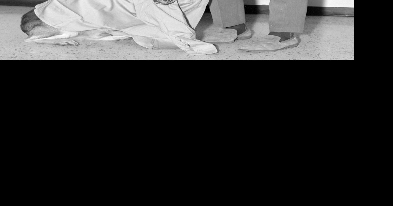 HISTORY-Sabre gets his shoulder patch | | hastingstribune.com