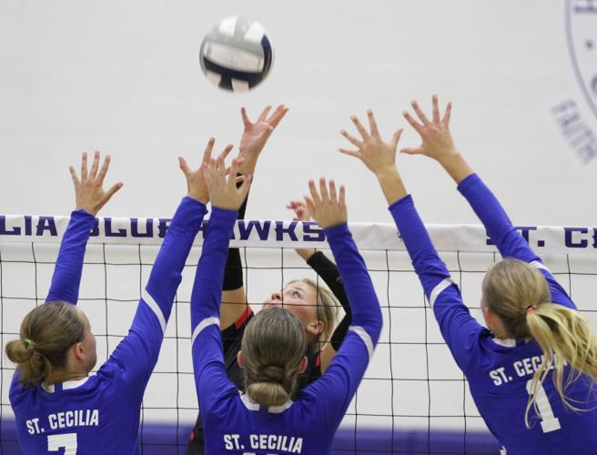 Hawkettes avenge earlier loss, sweep Sutton | Sports | hastingstribune.com