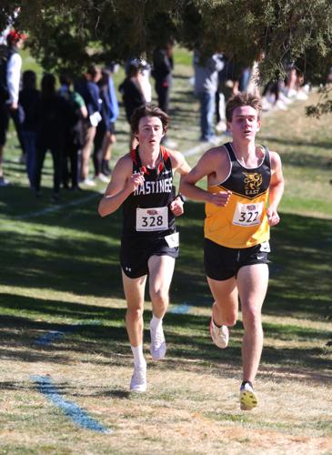 Class B boys: Carrera's silver paces Tigers to team runner-up finish ...