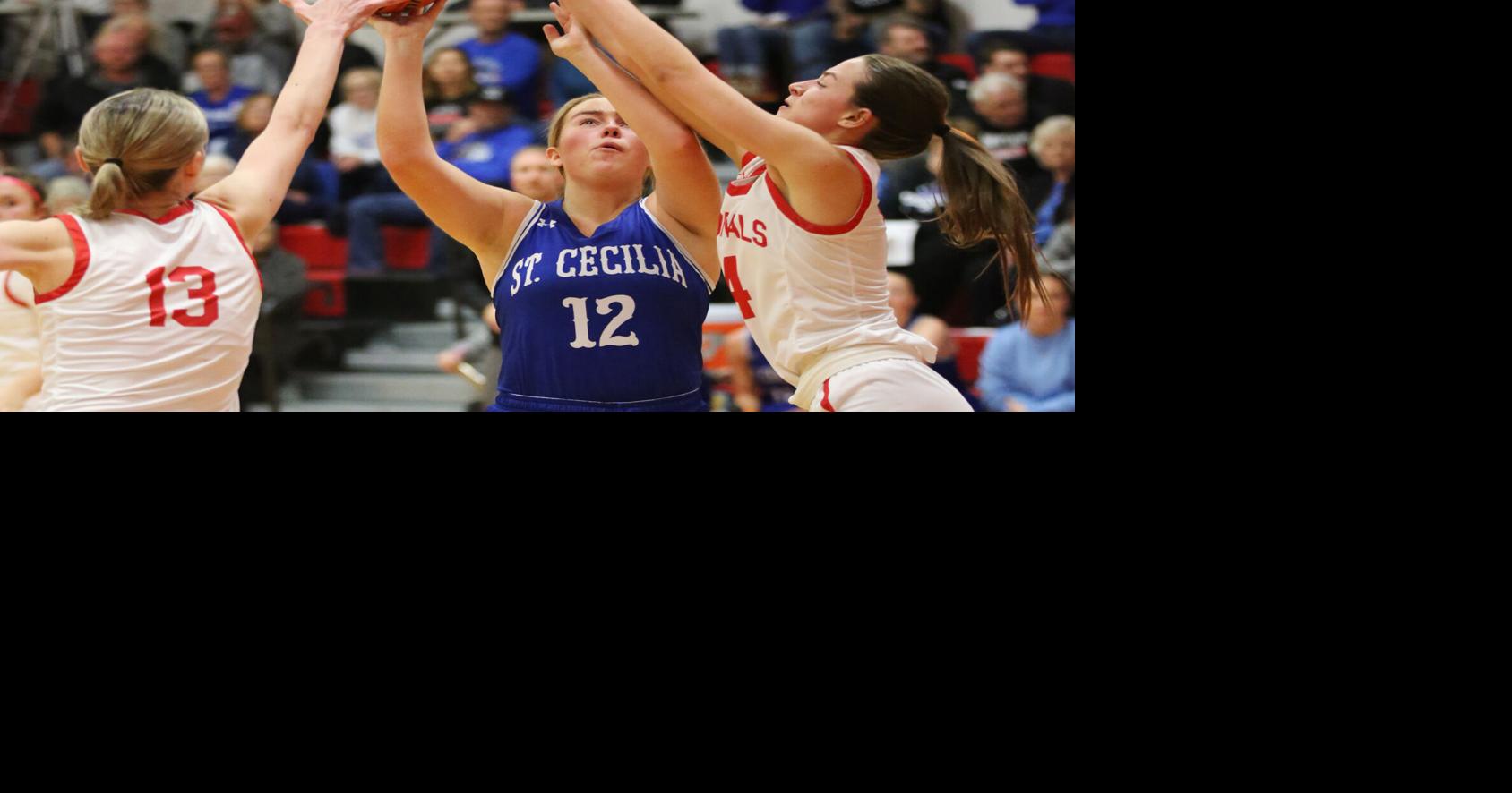 Hawkettes ease past Doniphan-Trumbull | Sports | hastingstribune.com
