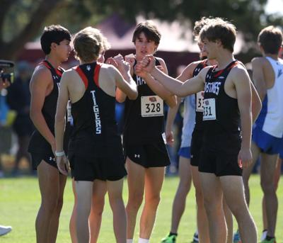 Class B boys: Carrera's silver paces Tigers to team runner-up finish ...