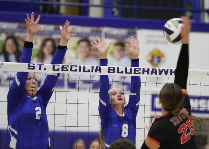 Hawkettes avenge earlier loss, sweep Sutton | Sports | hastingstribune.com