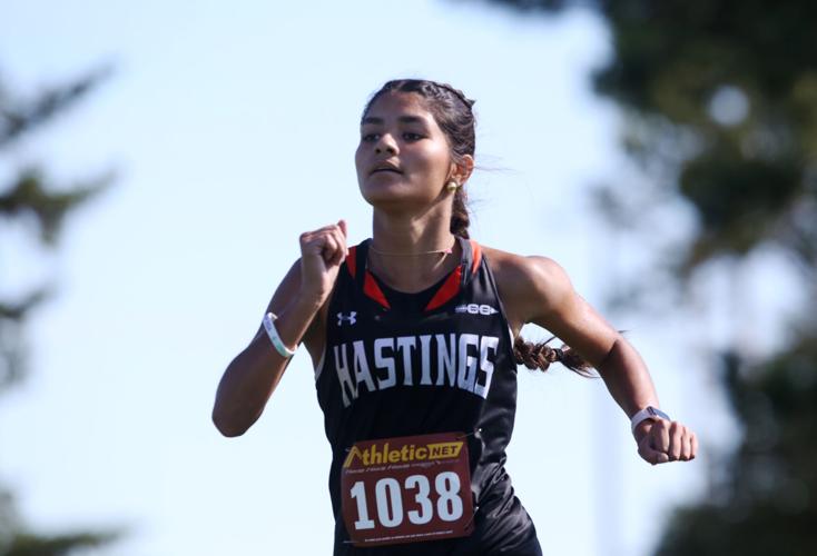 Reynolds' personal best helps Tigers claim team title at AC invite ...