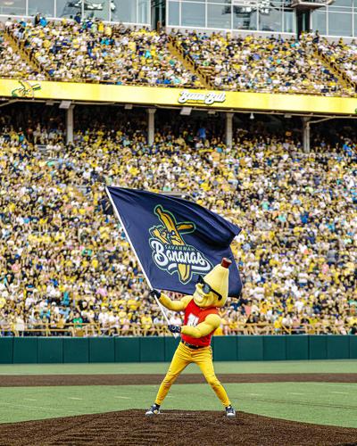 Slepicka: Still not Bananas about it, but barnstormers put on good show ...
