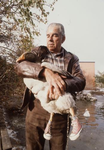 Fleming granddaughter hopes Andy the Goose will inspire for generations ...
