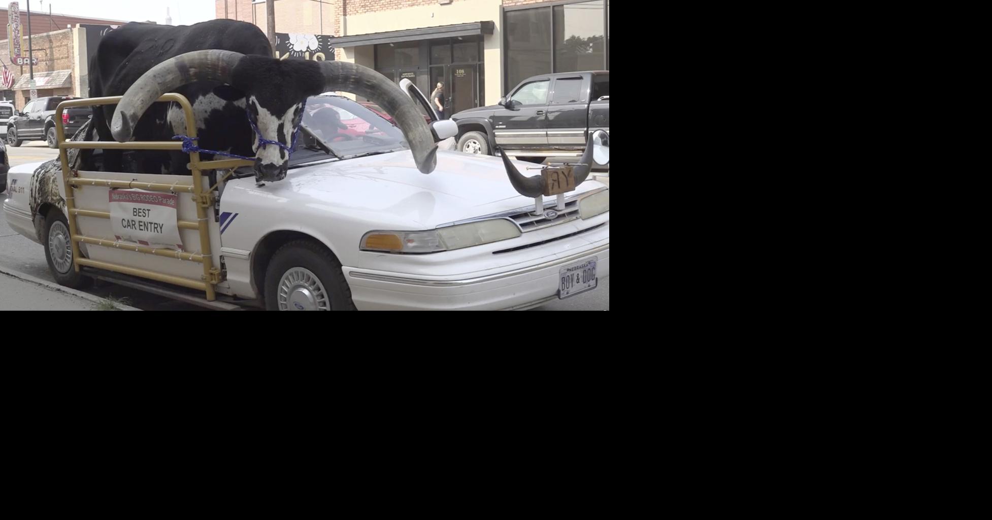 Police stop Neligh man for bucking the law with a bull riding shotgun ...