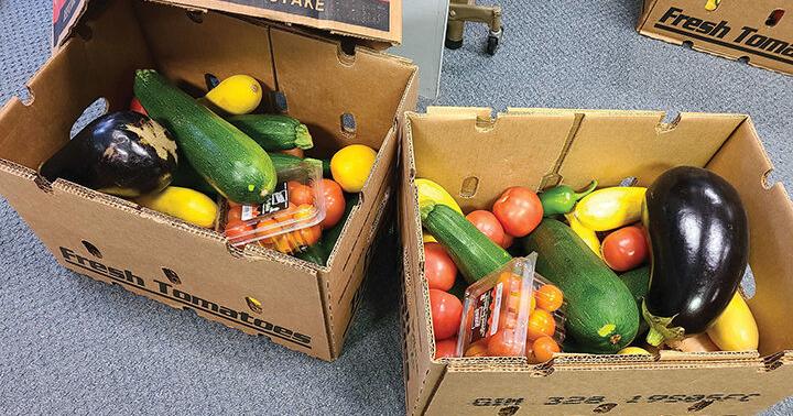 Save the Children, USDA food boxes continue to help the community ...