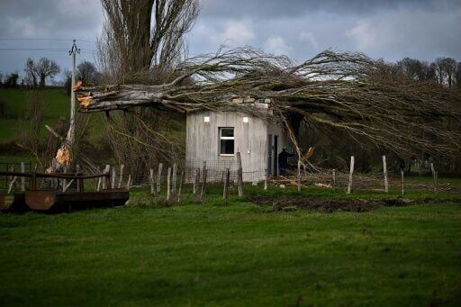 Storms spark travel mayhem and power cuts in northern Europe | National ...