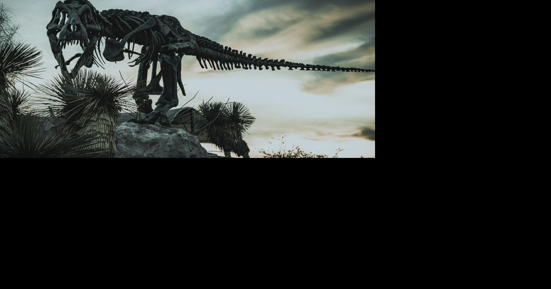 Tyrannosaurus rex research reveals new facts about ‘king of dinosaurs ...