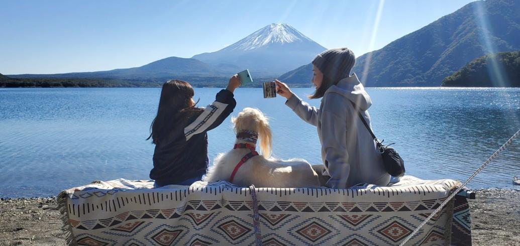 Dogs boost teens’ mental health by changing this in their bodies ...