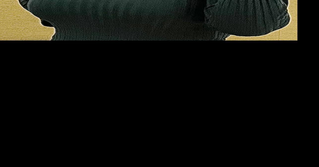 Shannon Floyd | Obituaries | hendersondispatch.com