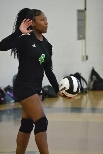 Lady Vipers drop to last in conference | Archives | hendersondispatch.com