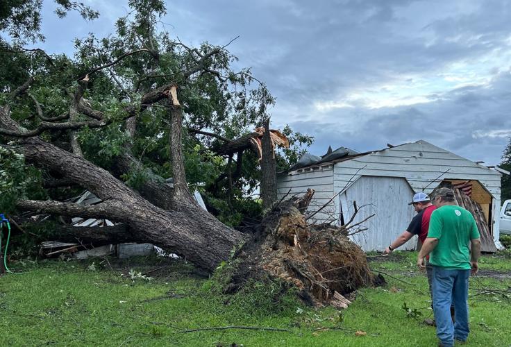 Storm soaks area, downs trees; 2 tornadoes touch down in Epsom ...