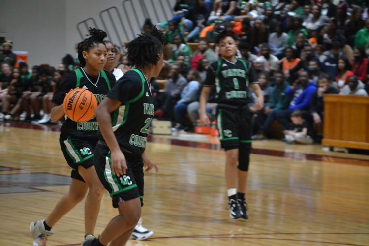 Lady Vipers shellack Warren County, 60-11 | Archives ...