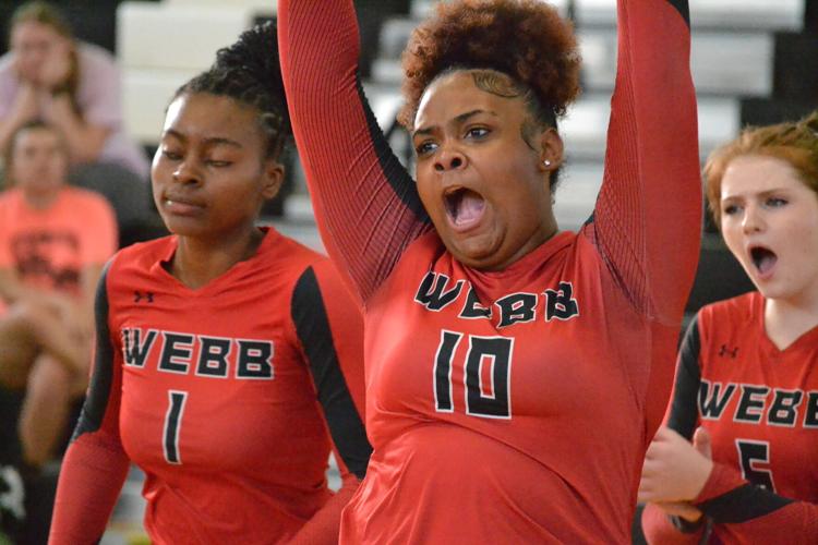 Lady Vipers drop to last in conference | Archives | hendersondispatch.com