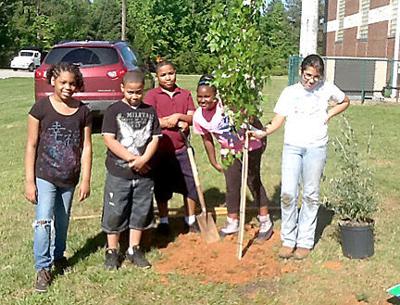Learning, reading, reflection ‘in Bloom’ at South Warren Elementary ...