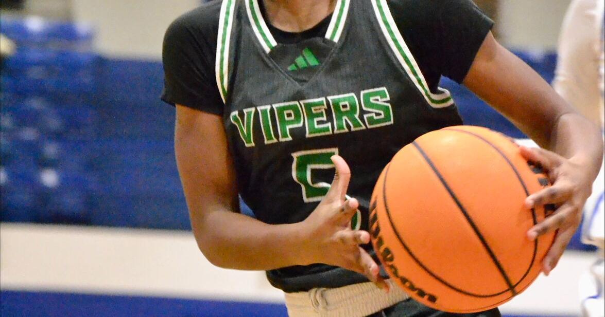 Lady Vipers take sloppy, 43-23 win over DSA | Archives ...