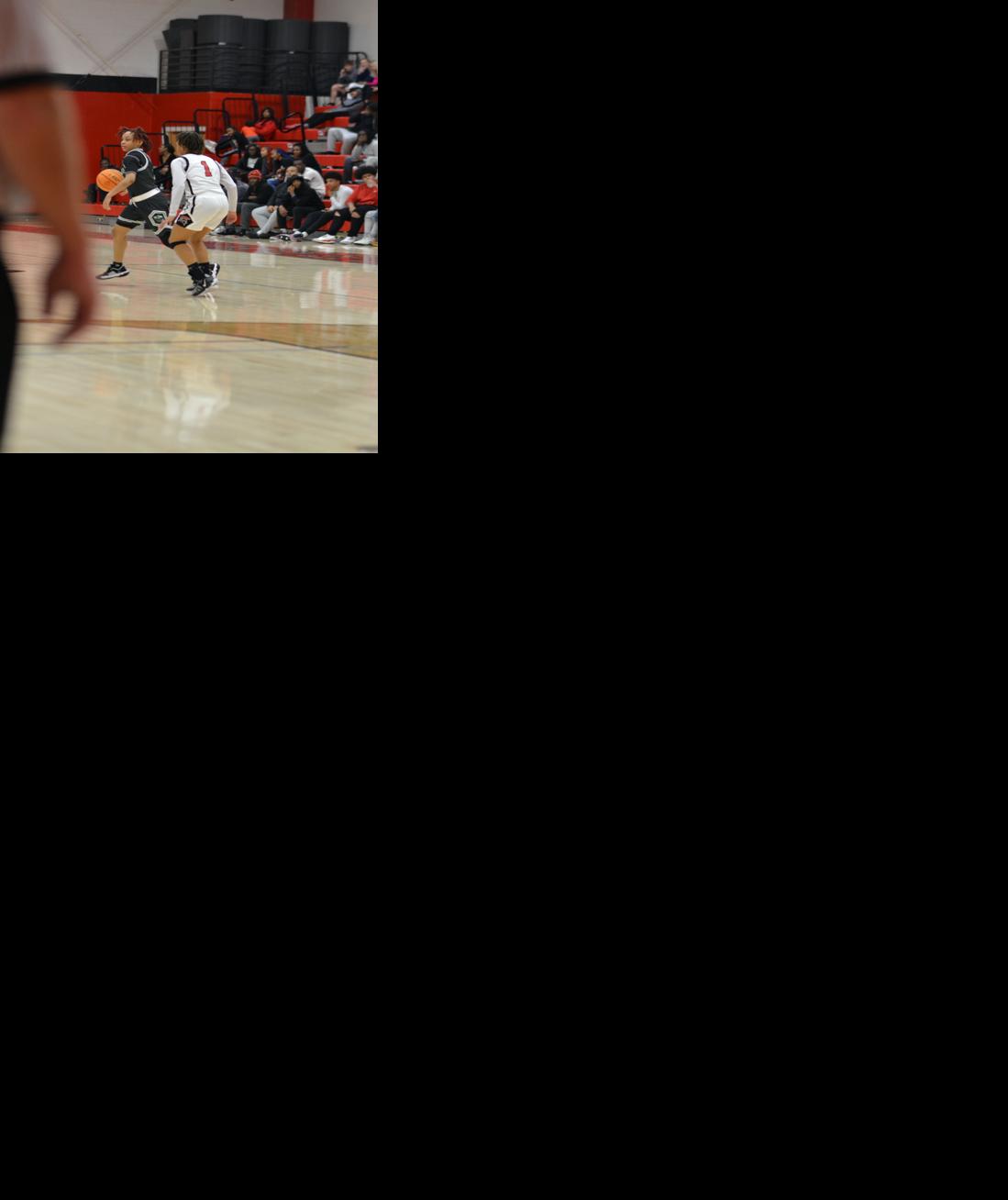 Lady Vipers lose conference championship | Archives | hendersondispatch.com