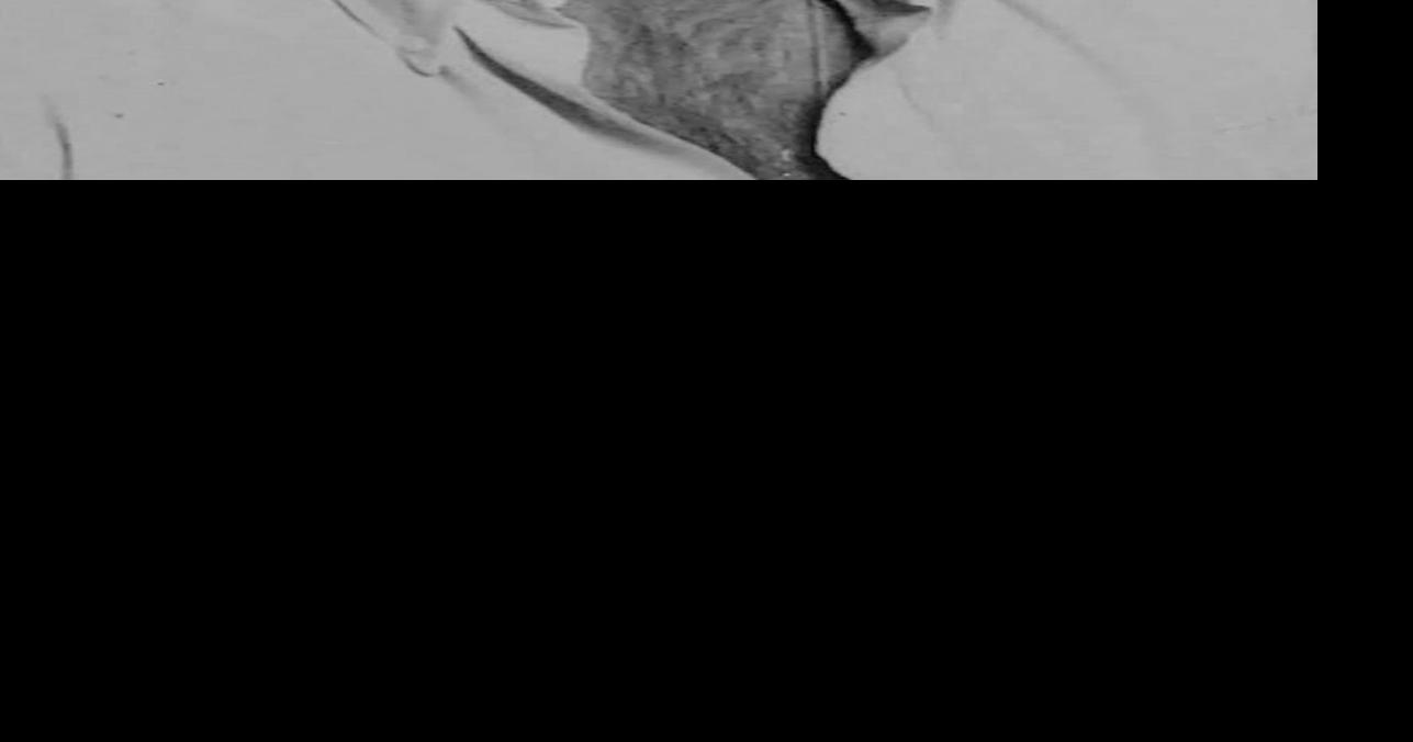 Robert W. “Didi” Shearin | Obituaries | hendersondispatch.com