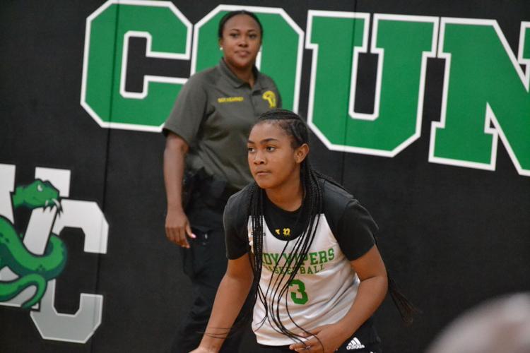 Lady Vipers pop out against Louisburg in Summer League | Archives ...