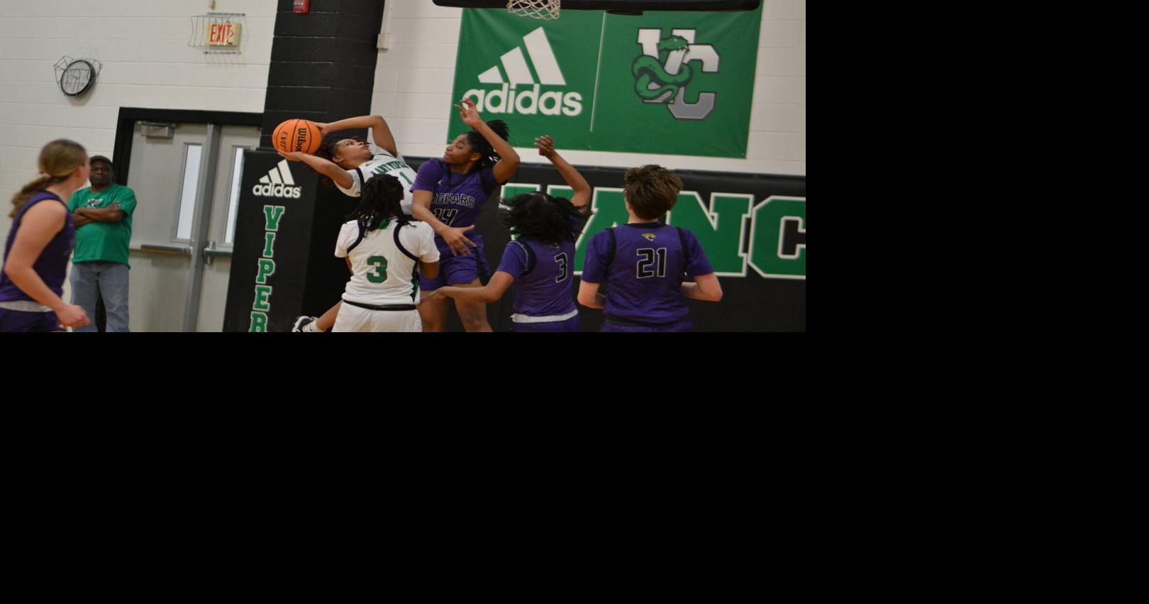 Lady Vipers sweep the Jags, 'headed to the chip' | Archives ...