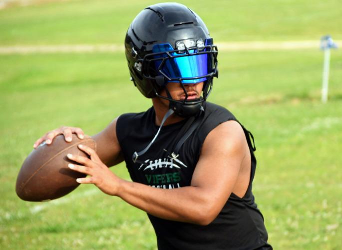 Mental toughness Vipers’ summer focus | Archives | hendersondispatch.com
