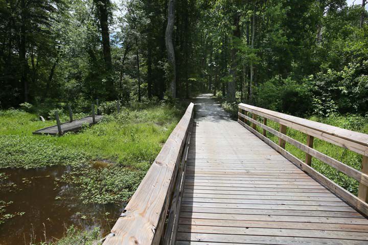 Enjoy a walk in the park at Fox Pond Trail | Features ...
