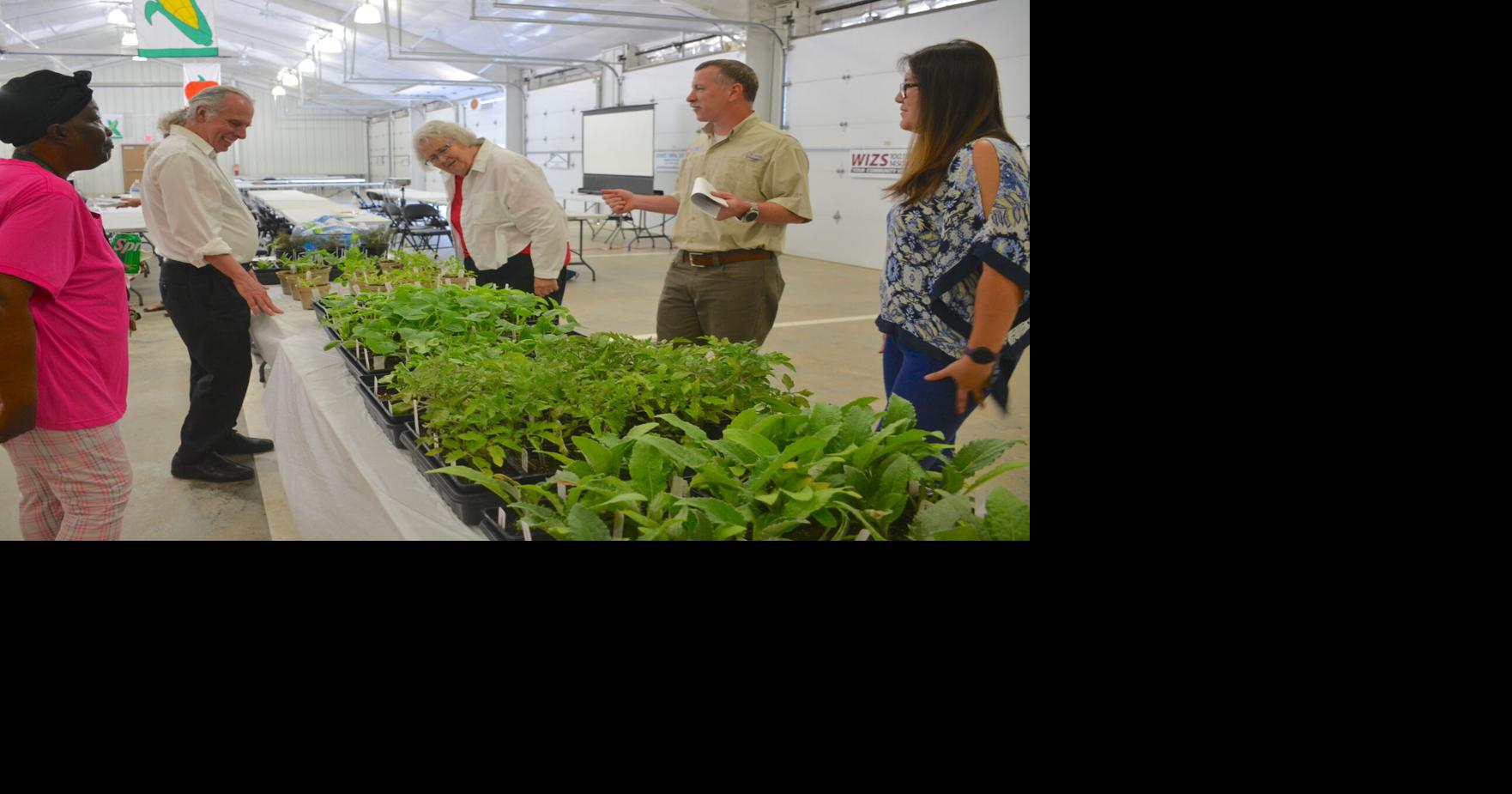 America 250: Mark Pace talks farming, history | Archives ...