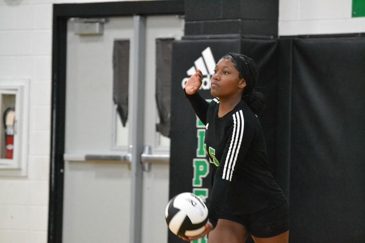 Lady Vipers lose volleyball season opener | Archives ...
