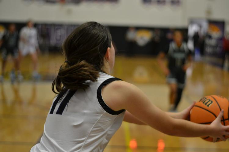 Lady Vipers come back to beat Carrboro | Archives | hendersondispatch.com