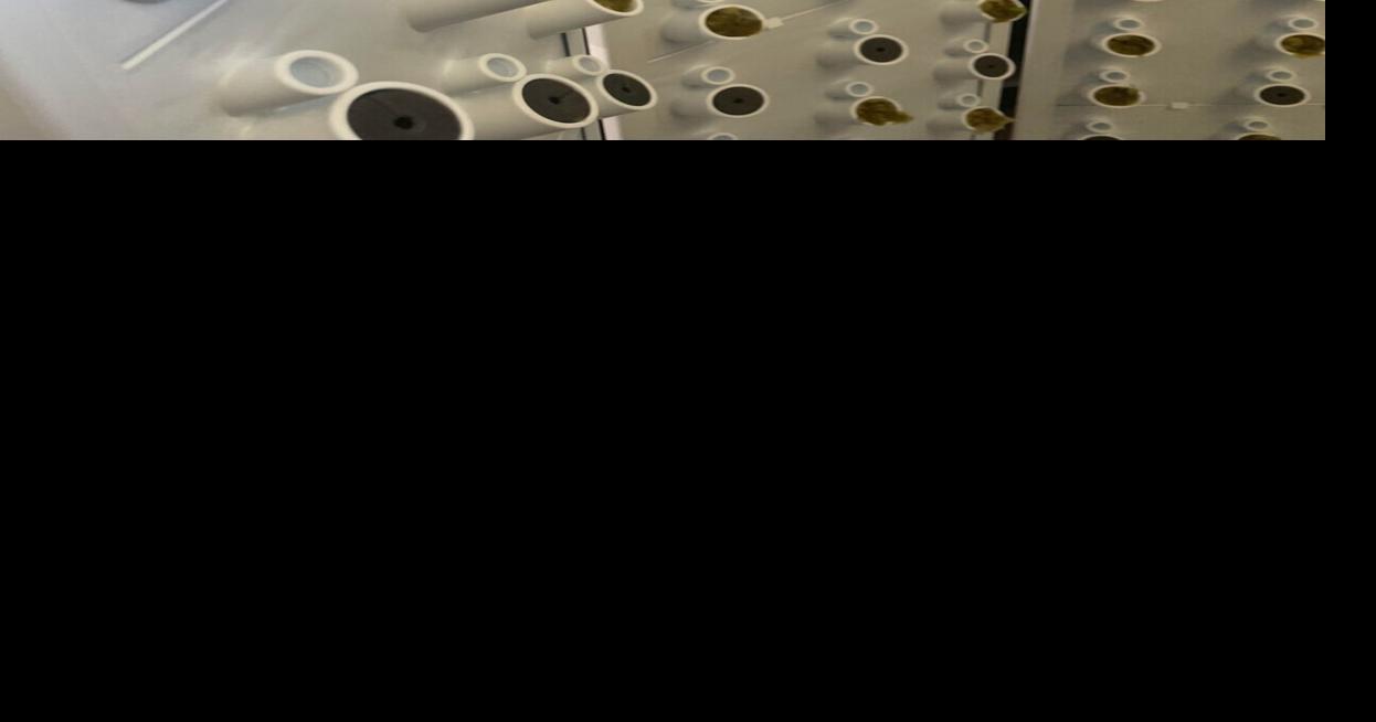 Help Center utilizes Flex Farm tech in food distribution | Archives ...