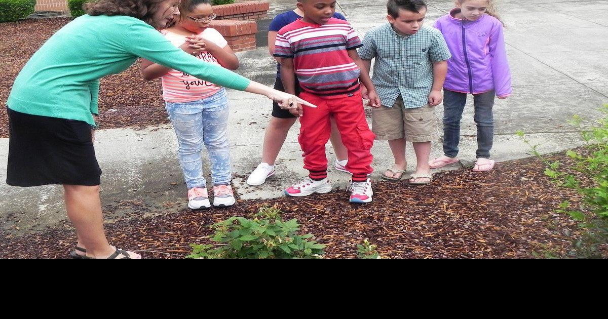 Courtyard at Dabney Elementary sprouts a new look | News ...