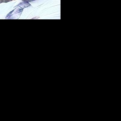 Ward 4 candidate Bates seeks to bring people together | News ...